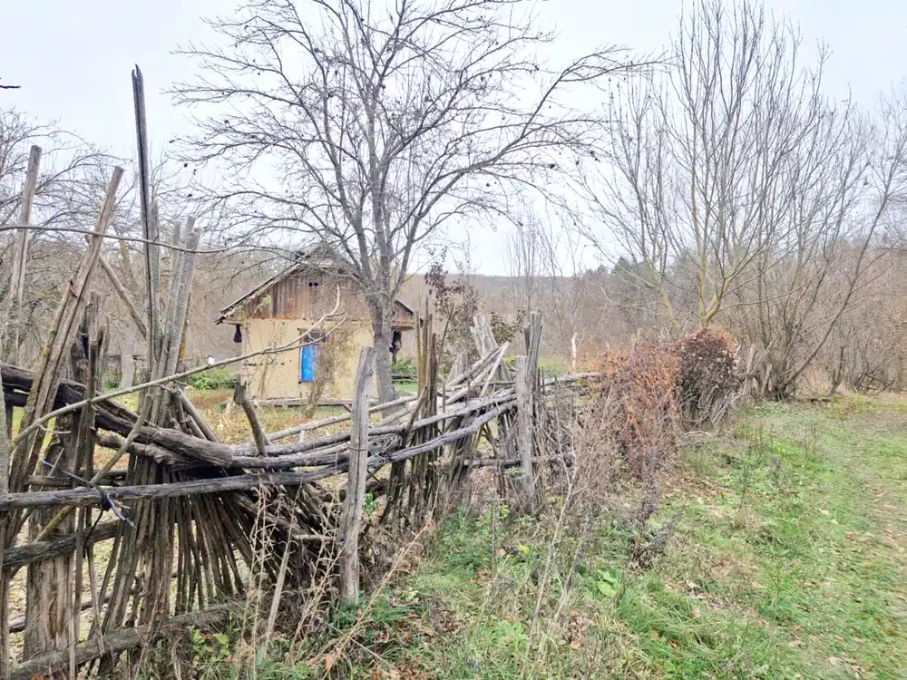 Țăranii ard lemne și speranțe. Guvernul nu face nimic pentru cei care ...